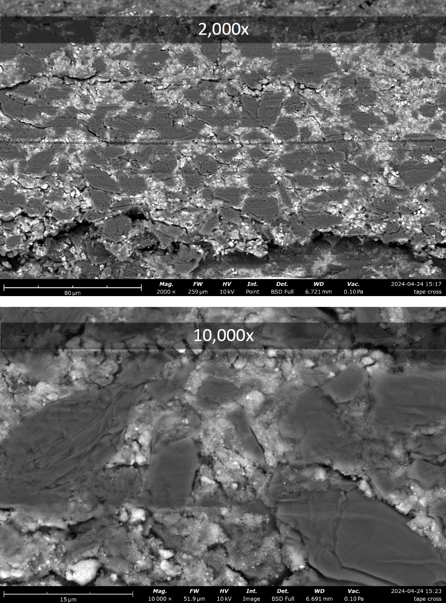 Scanning Electron Microscopy (SEM) Service | NEI Corporation